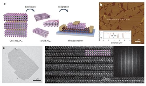 科学家报道二维钙钛矿型氧化物光敏高κ电介质—论文—科学网