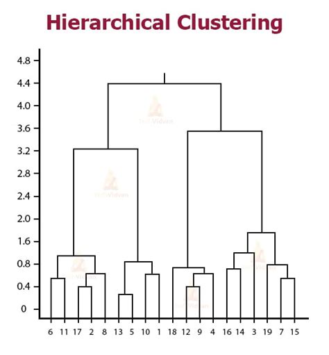 Cluster Analysis In R Complete Guide On Clustering In R Techvidvan