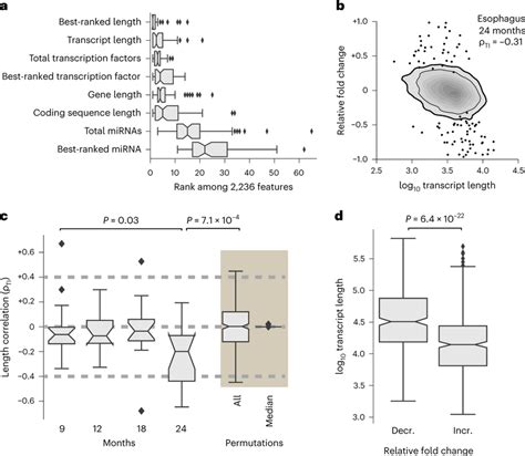 Observation Of Length Associated Transcriptome Imbalances A Importance Download Scientific