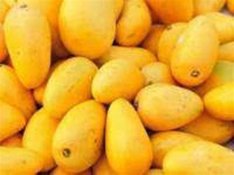 All Set To Exhibit Pak Mangoes At China Eurasia Commodity Expo
