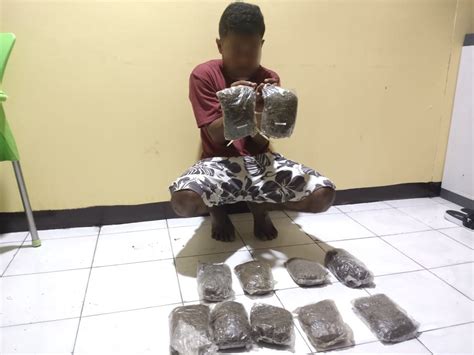 Bawa Ganja Seorang Pria Ditangkap Polres Yapen Lensamerauke
