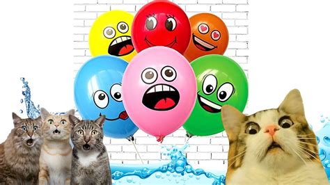 Asmr Balloons Popping 🤩 Part 67 Youtube