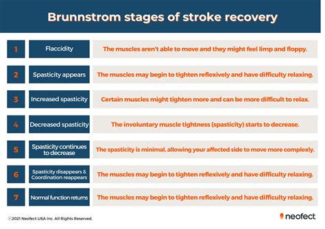Understanding The Brunnstrom Stages Of Stroke Recovery 41 Off