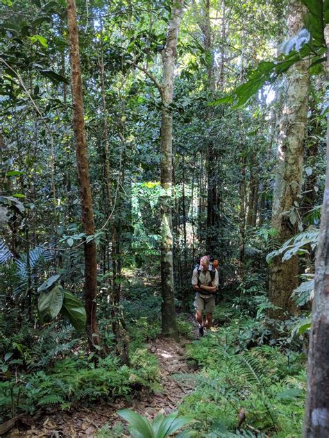 Mount Bartle Frere Trail