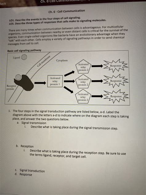 Answered 1 The Four Steps In The Signal Bartleby