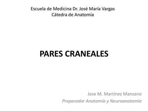 Pares Craneales Neuro Apuntes De Neuroanatomía Docsity
