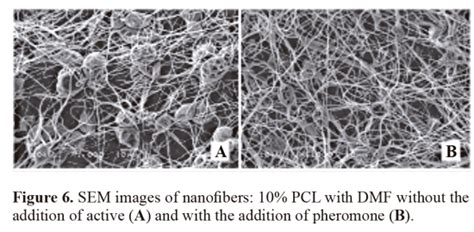 Polymers Nanofibers As Vehicles For The Release Of The Synthetic Sex