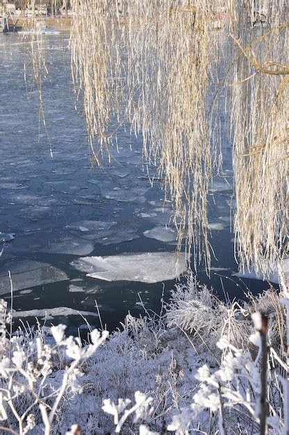 Premium Photo Frozen Lake