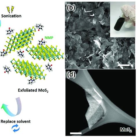 Preparation Of The 2d Mos 2 Nanosheets A Scheme Of The Preparation Of
