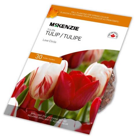 Mckenzie Tulip Love Circle Flowering Bulbs Home Hardware
