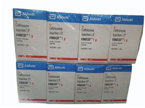 Abbott Ceftriaxone Injection Ip 1 Gm At ₹ 60 Vial In Indore Id