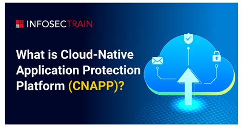 What Is Cloud Native Application Protection Platform Cnapp