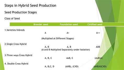 Maize Ppt By Sudarshan Pptx