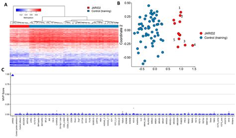 Functional Insight Into And Refinement Of The Genomic Boundaries Of The