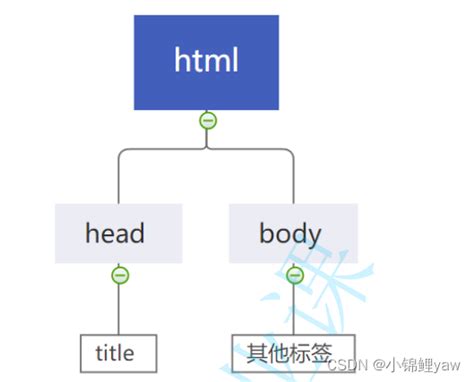Html基础标签