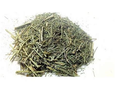 Organic Dry Chirata Leaf At Rs 25kg In Neemuch Id 2850541526262