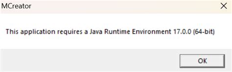 Anybody Know What This Means This Application Requires A Java Runtime