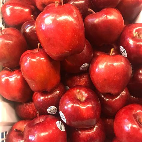 Jual Apel Merah Washington Shopee Indonesia