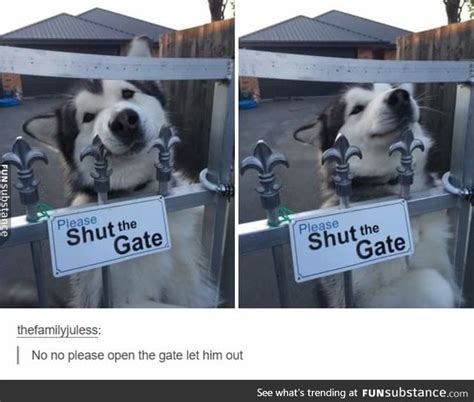 Hes Smiling Funsubstance
