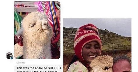 Blessed Wool Album On Imgur