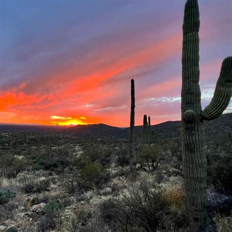 Redington Pass Dispersed Camping Saguaro National Park Arizona