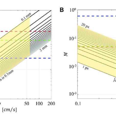 a magnitude of particle displacement in the object plane Δx o
