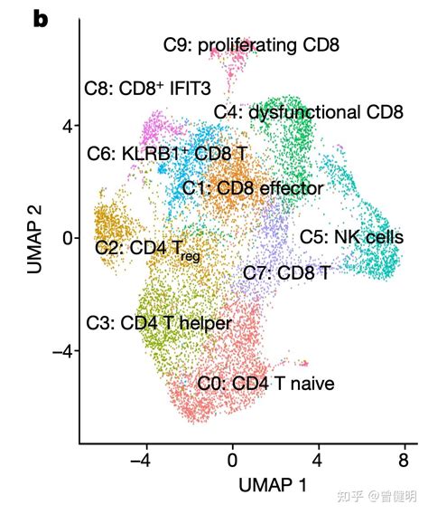 Cd4和cd8的t细胞在单细胞转录组水平本来就很难确定亚群和名字 知乎