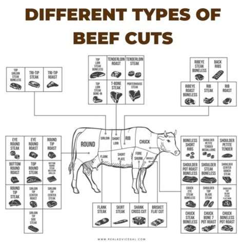 All About Different Cuts Of Beef Real Advice Gal