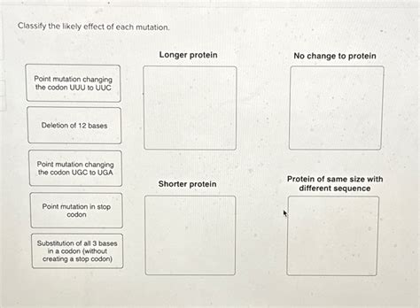 Solved Classify The Likely Effect Of Each Mutationlonger