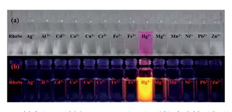 Figure 1 From A Rhodamine Based Chemosensor With Diphenylselenium For Highly Selective