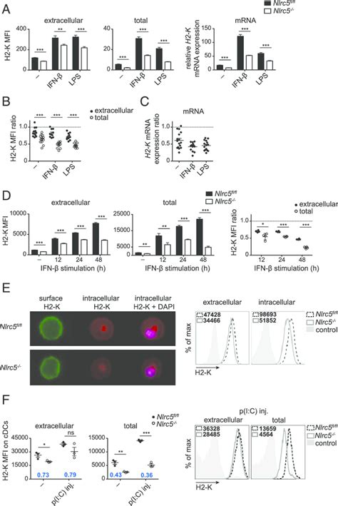 Nlrc5 Deficiency Affects H2 K Mrna And Total Protein Abundance But