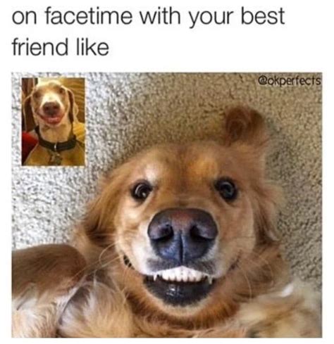 Friendship Memes 26 Funny Friend Memes To Send To Your Bestie