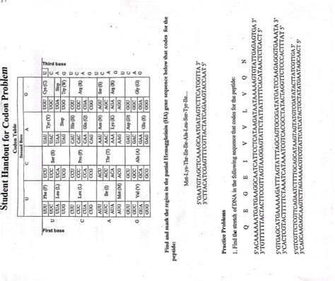Solved Student Handout For Codon Problem Find And Mark The Chegg