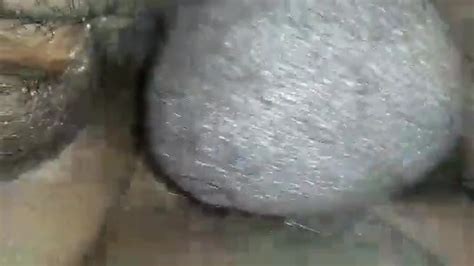Malay Porn 69 Ass Porn Xhamster