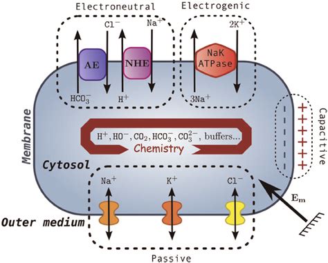 Capacitance Meaning