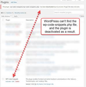 How To Add Code Snippets To Your WordPress Website CueFox