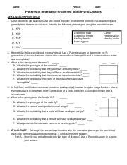 Patterns Of Inheritance Problems Docx Name Period Date Patterns Of Inheritance Problems