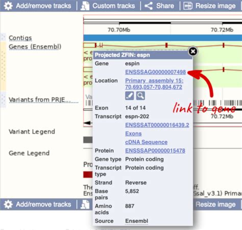 Exploring Atlantic Salmon Genes And Transcripts Demo