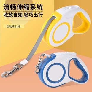 跨境宠物用品猫狗牵引绳自动伸缩牵引遛狗绳宠物外出5米绳狗链 阿里巴巴
