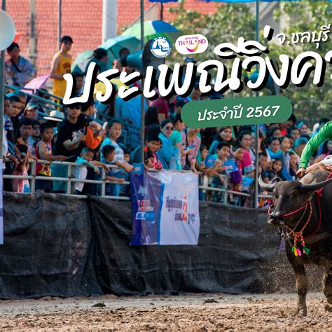 📣 ขอเชิญเที่ยวงานประเพณีวิ่งควาย 2567 ททท สำนักงานพัทยา