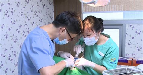 2012 파워 브랜드 컴퍼니 룡플란트치과그룹 룡플란트