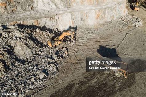 Tree Removal Using Backhoe Photos And Premium High Res Pictures Getty