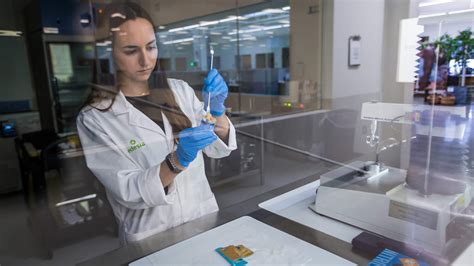 What Is The Difference Between Culinary Science And Food Science