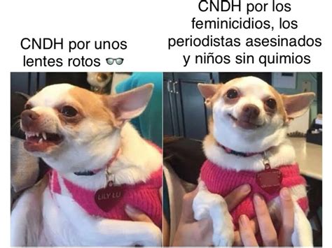 Los Memes Más Divertidos Que Dejó La Presunta Agresión De Héctor Suárez