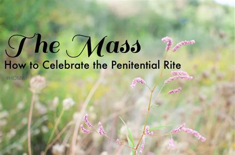 The Mass How To Celebrate The Penitential Rite — Heart Of Mary