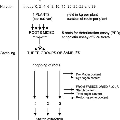 Overview Of The Sampling Protocol Download Scientific Diagram