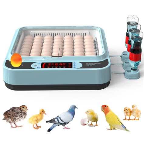 Buy OUYOLAD 64 Egg Incubator With Humidity Display Incubators For