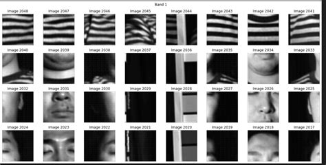 Github Talhaty Super Resolution Hyperspectral Image Super Resolution Via Deep Spatiospectral