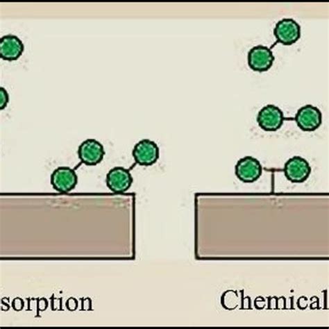 Physical And Chemical Adsorption 5 Download Scientific Diagram