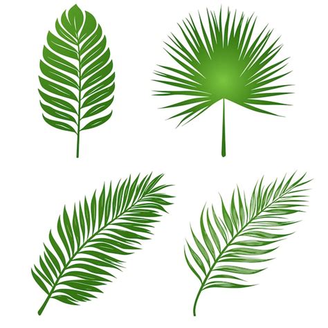 Premium Vector Template Model